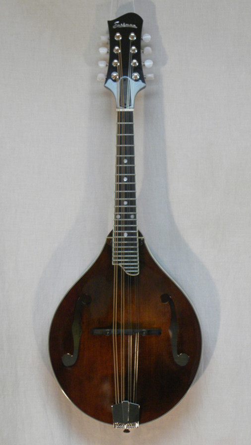 Steilberg String Instruments - Eastman MD605 with pickup and hard case